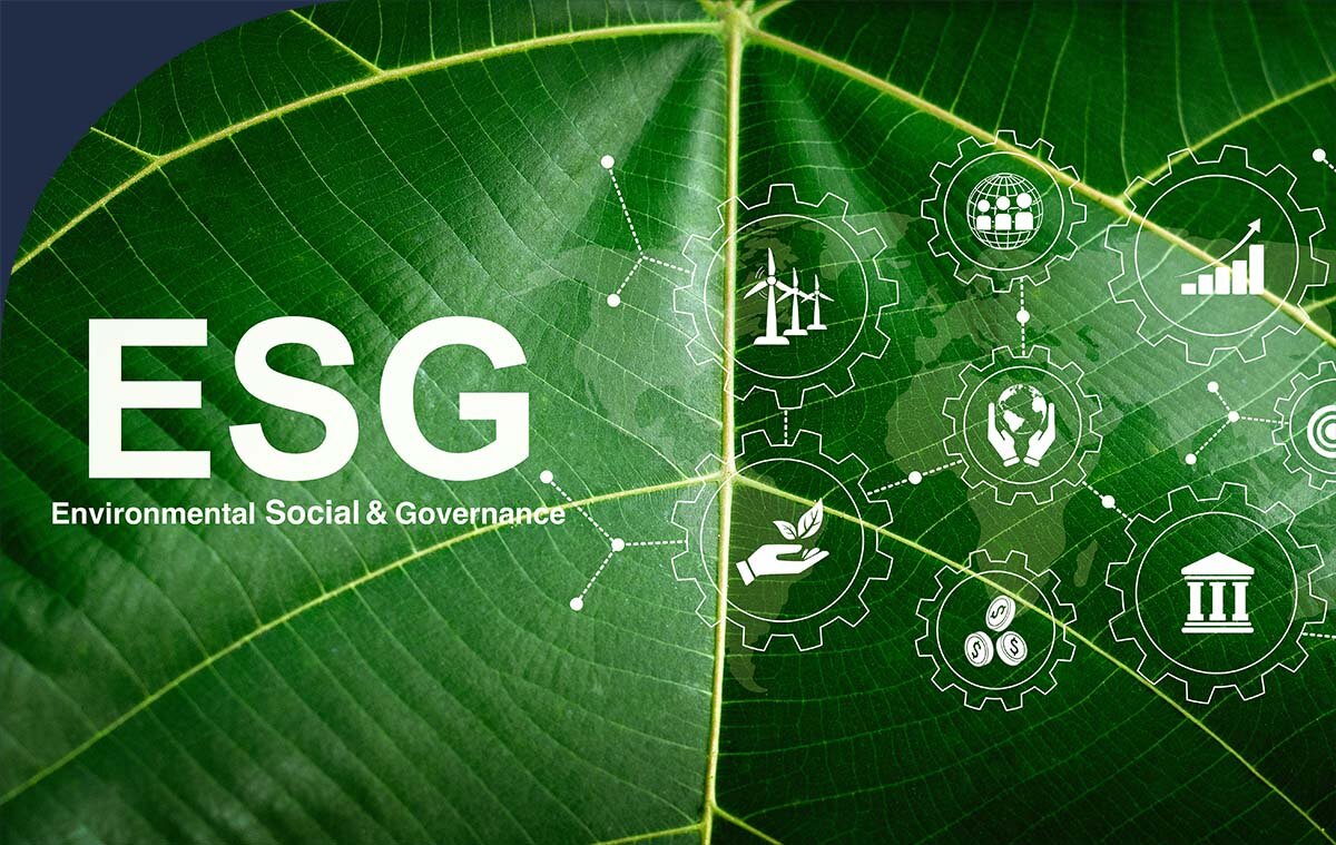 Download our Sustainability Report Example | Alens